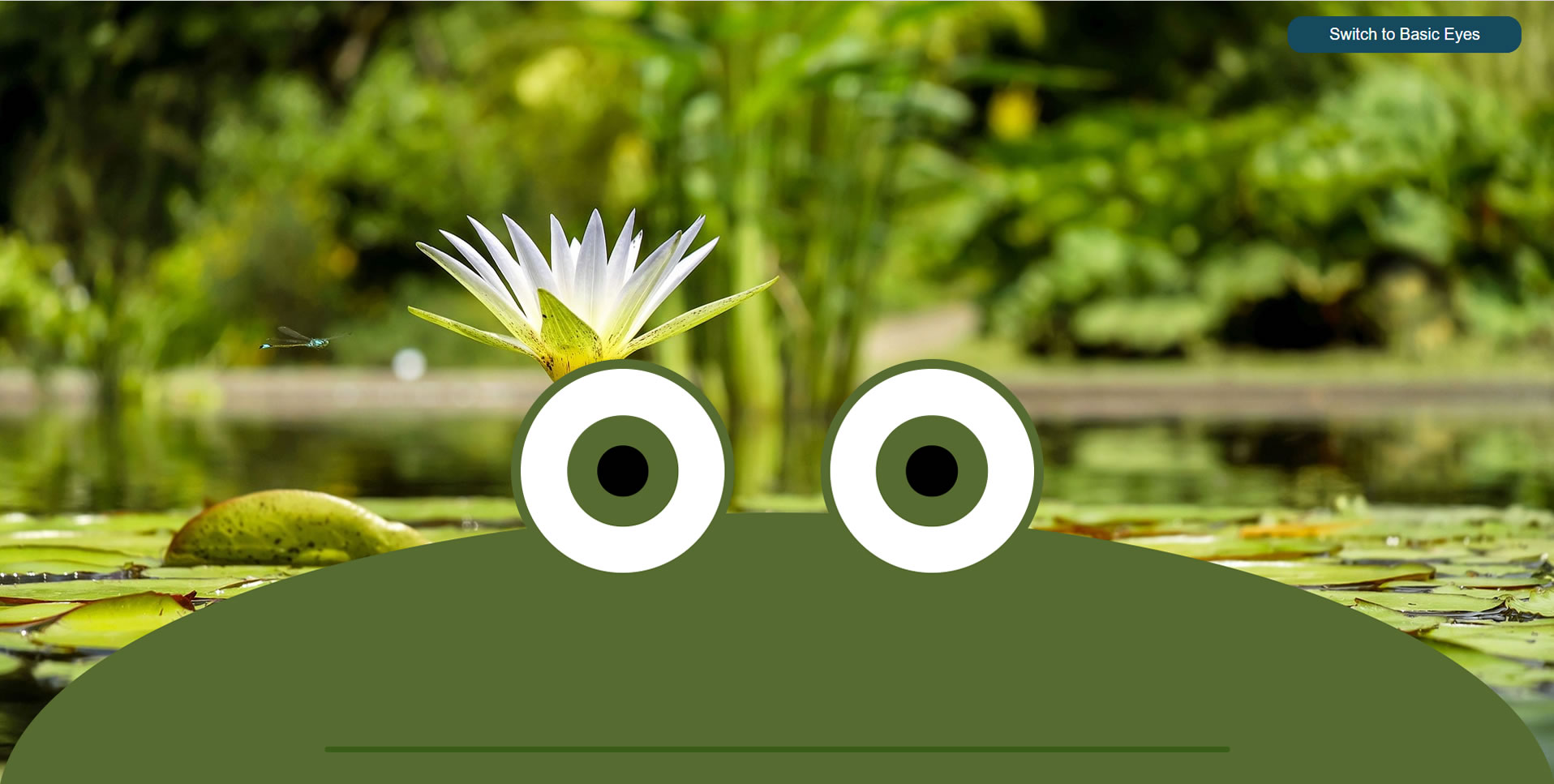 My Portfolio | Mihai Diaconescu